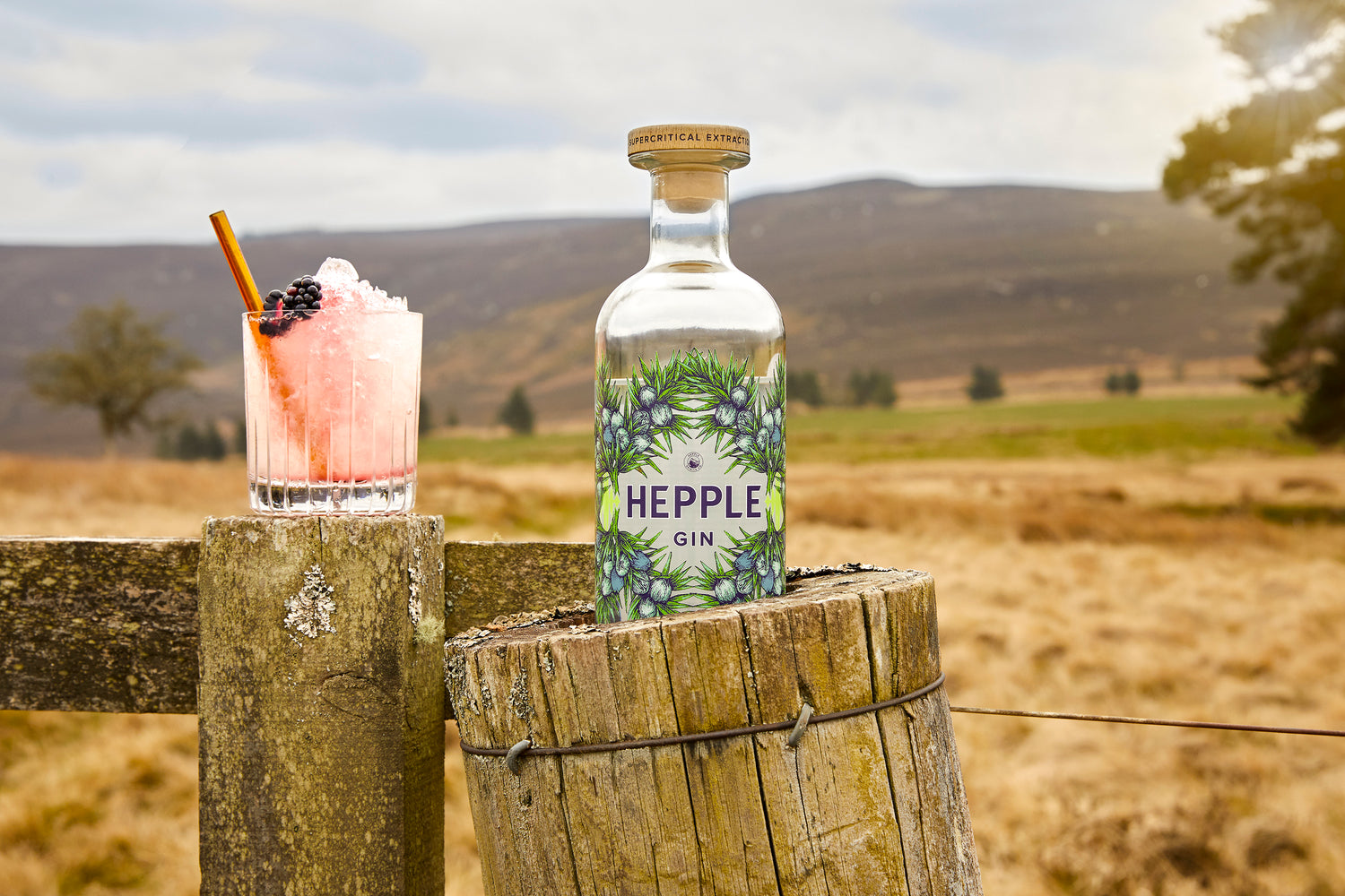 Cocktail Recipes - Hepple Spirits – Page 3