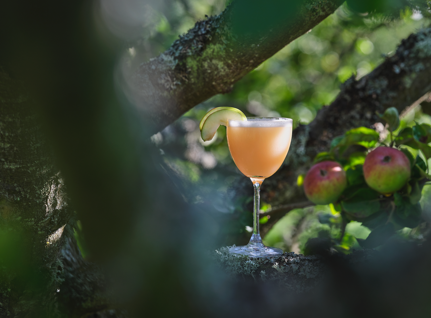 Quince Syrup Cocktail - Hepple Spirits