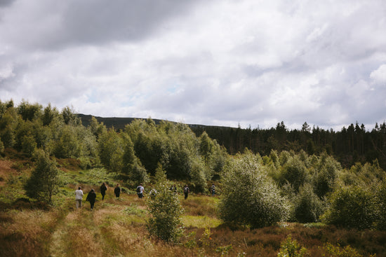 Hepple Distillery Tours – Hepple Spirits