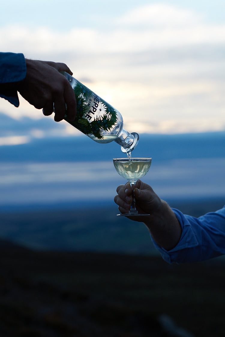 Hepple Gin - Hepple Spirits